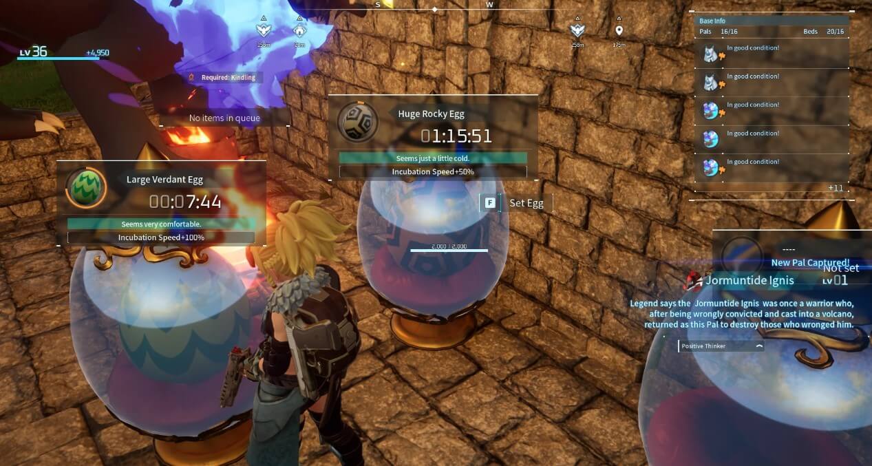 All You Need To Know About Palworld Eggs